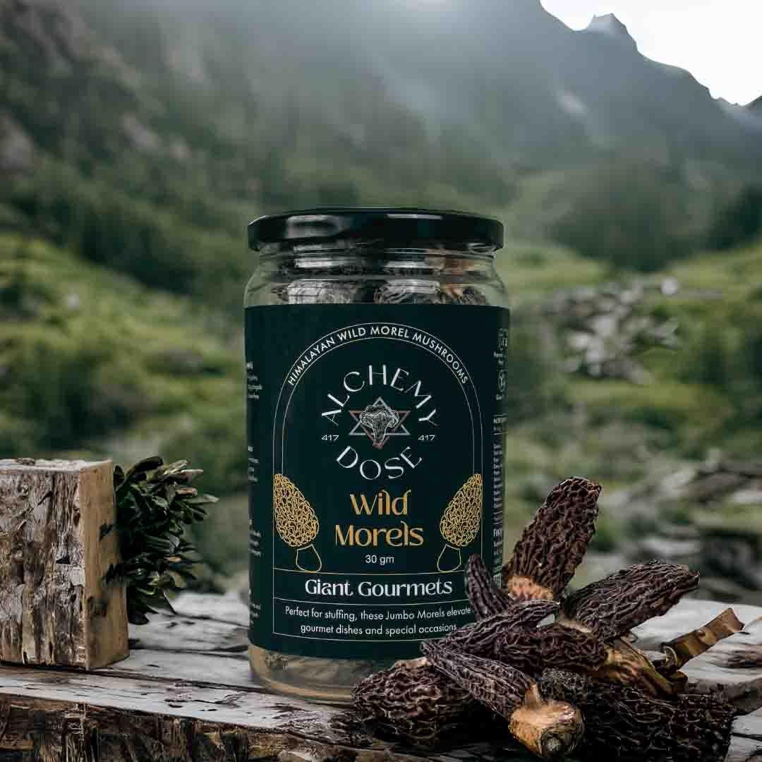 Morel Mushroom | Gucchi Mushroom – Alchemy Dose